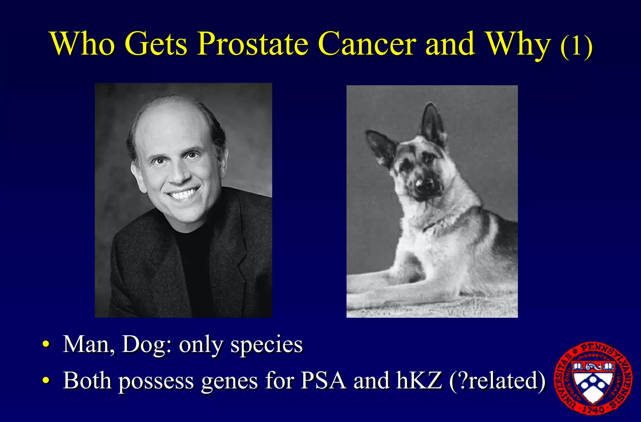 Prostate Cancer Overview | PDF