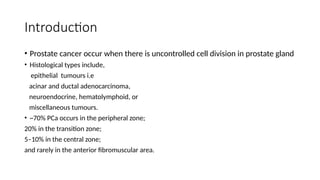 PROSTATE CANCER PRESENTATION_edited.pptx