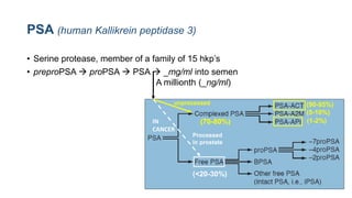 Prostate cancer - PSA and PSA kinetics | PPT