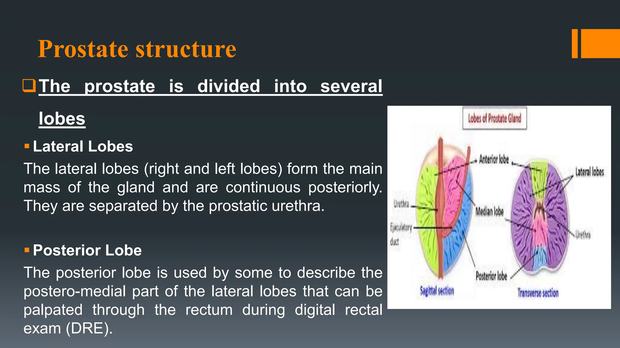prostatectomy with urinary incontinence-1 (1).pdf