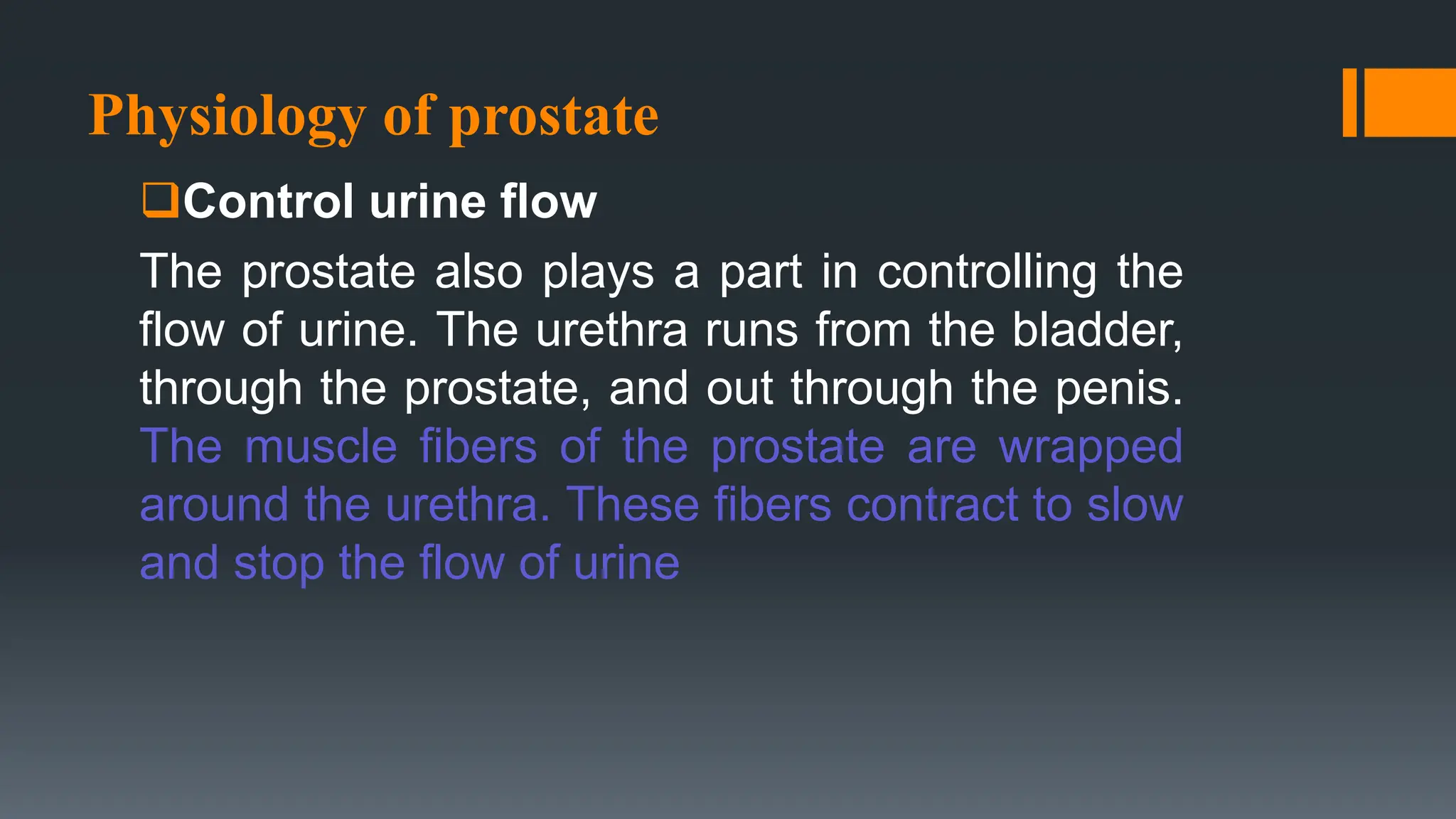prostatectomy with urinary incontinence-1 (1).pdf