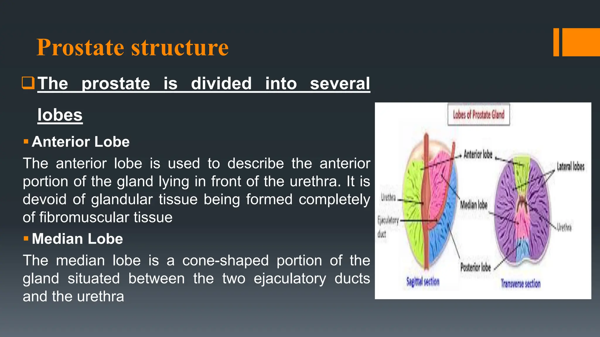 prostatectomy with urinary incontinence-1 (1).pdf