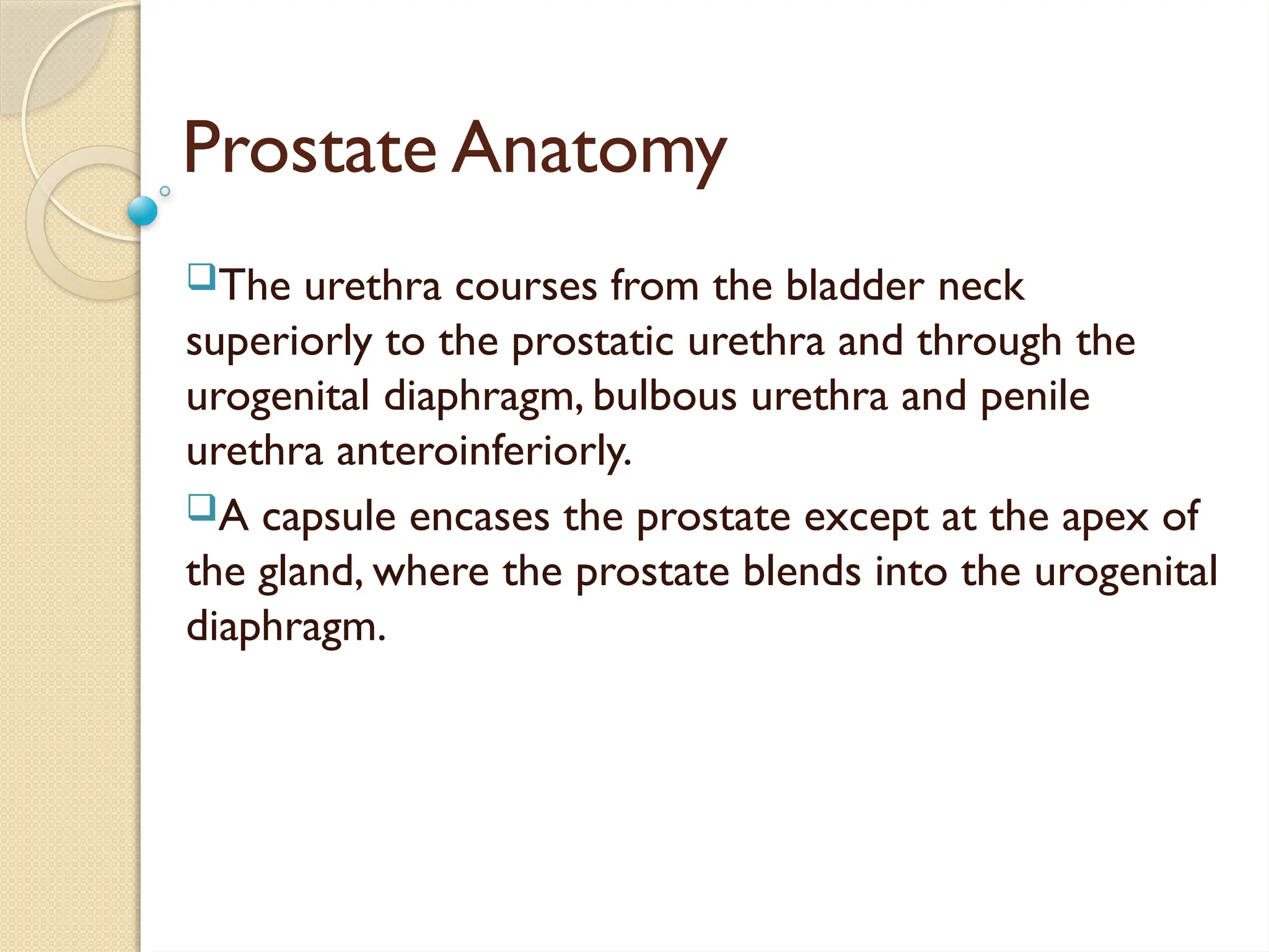 Prostate Diagnostic criteria according to risk.pptx