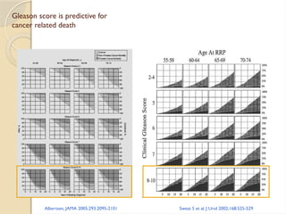 Prostate Diagnostic criteria according to risk.pptx