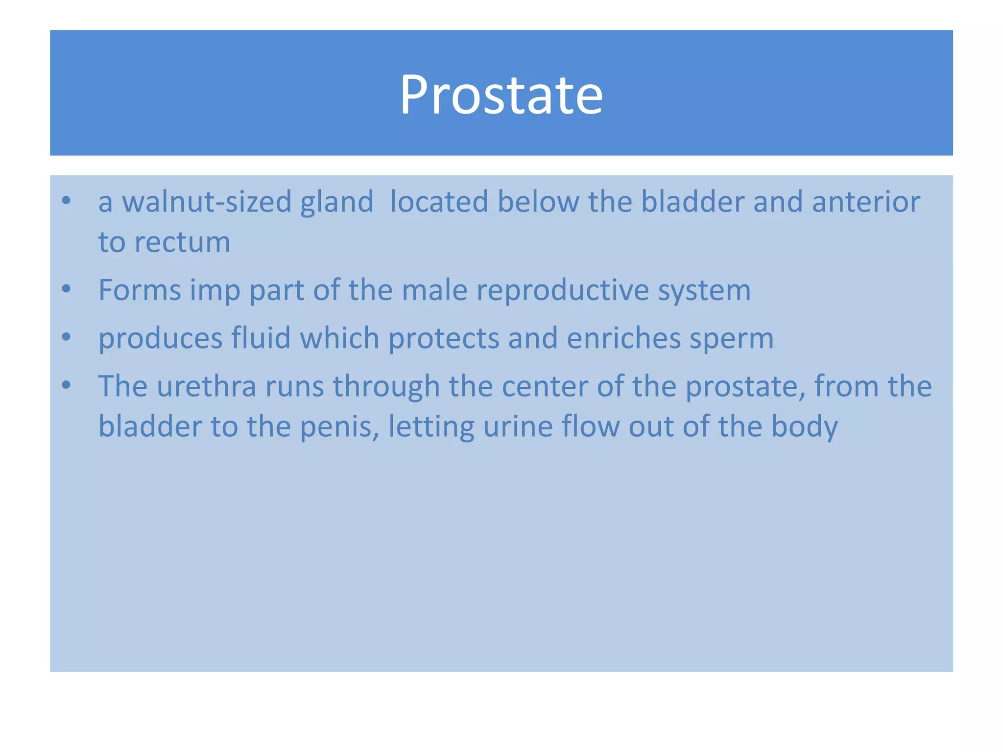 Prostate disease prevention and new guidelines | PPTX