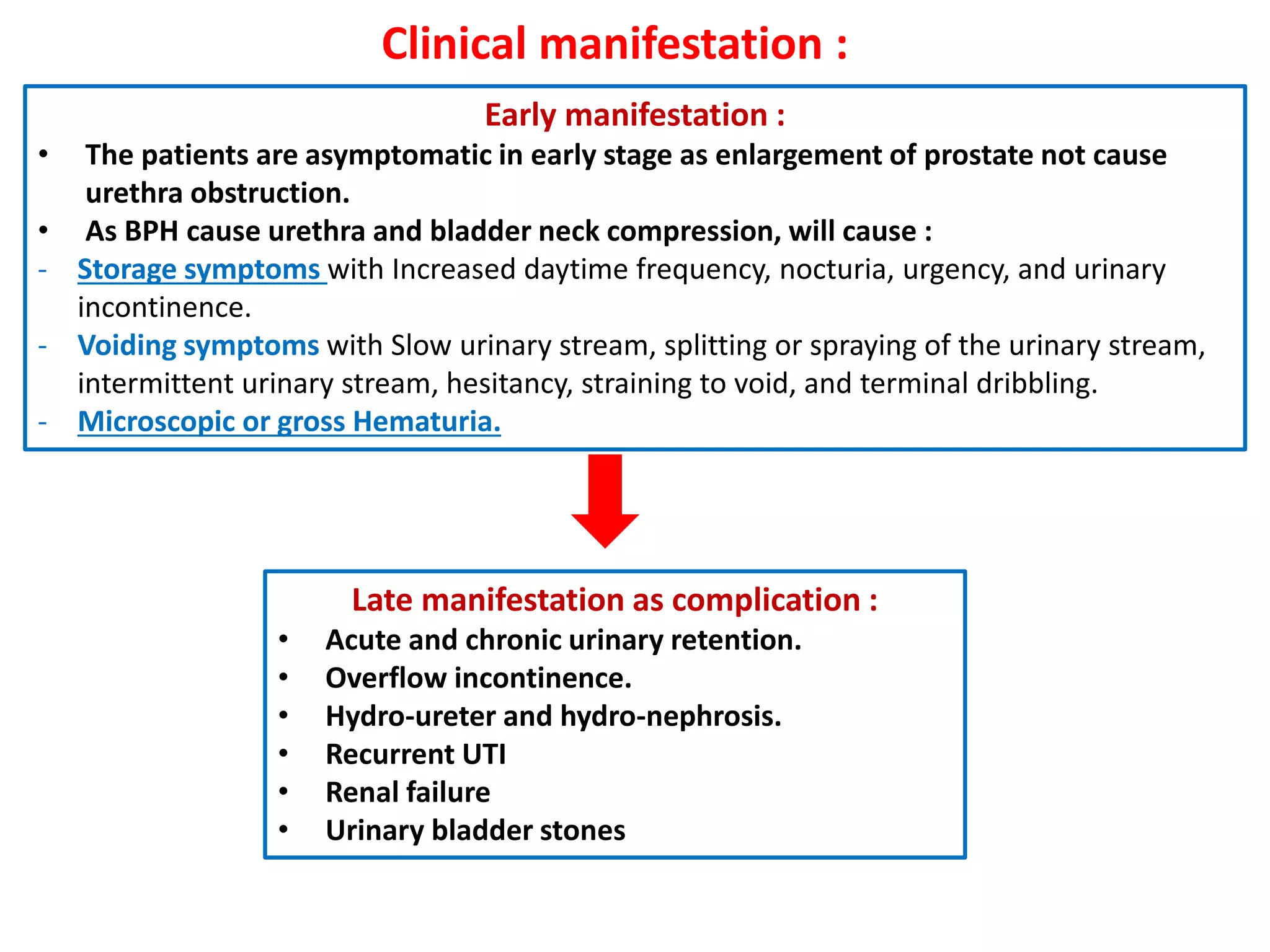 Prostate diseases | PPTX