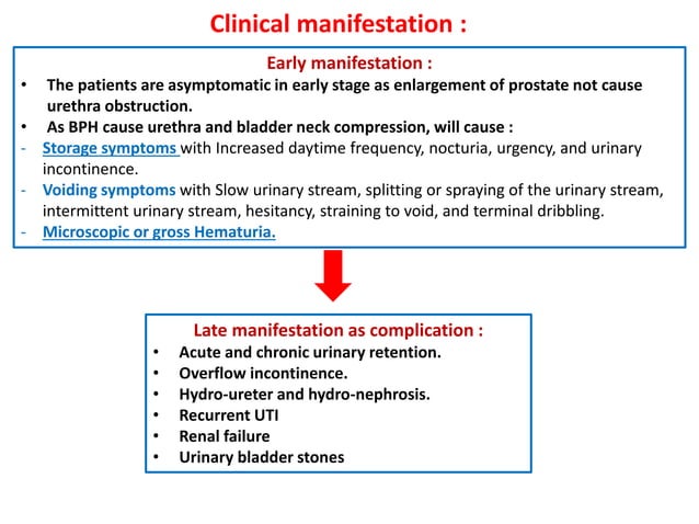 Prostate diseases | PPTX | Endocrine and Metabolic Diseases | Diseases ...