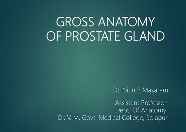 Gross anatomy of Prostate gland | PPTX
