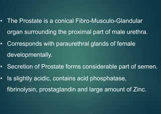 Gross anatomy of Prostate gland | PPTX