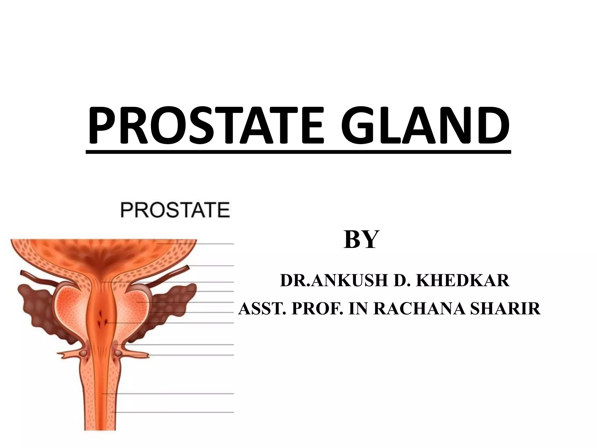Prostate gland | PPTX
