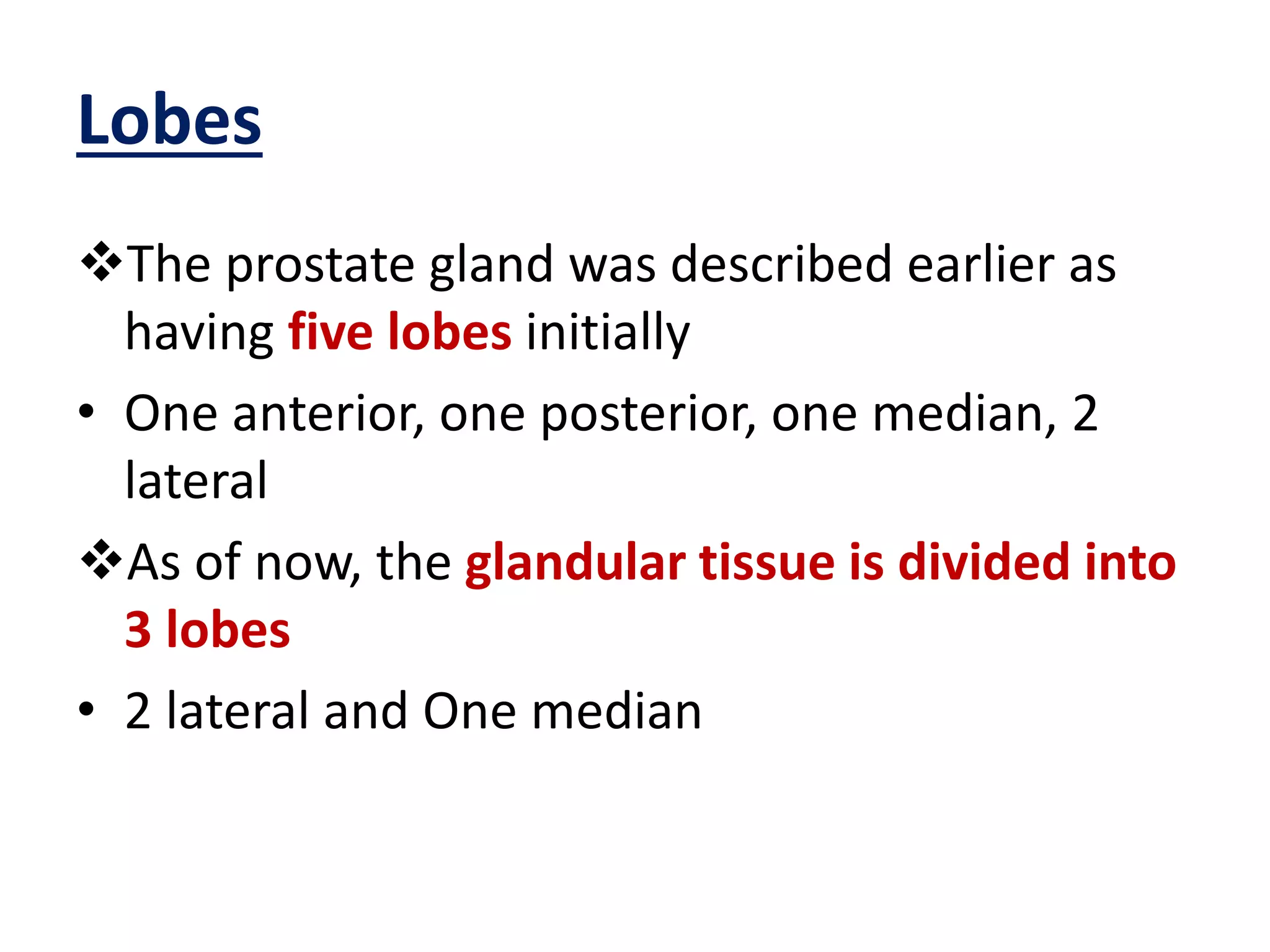 Prostate gland | PPTX