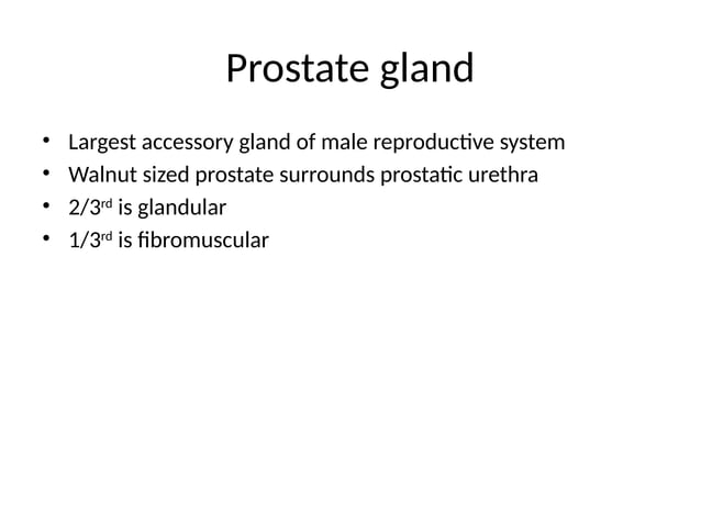 Prostate gland.pptxyyyuuuuuuuuuhydefggtr | PPT