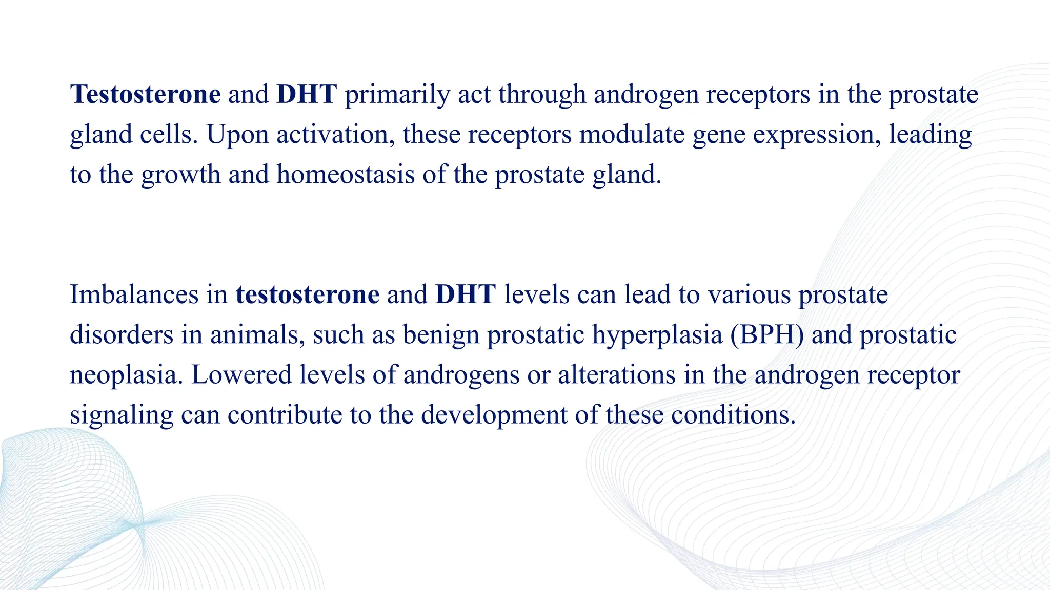 Prostate Gland in Animals: A Comprehensive Overview | PPTX
