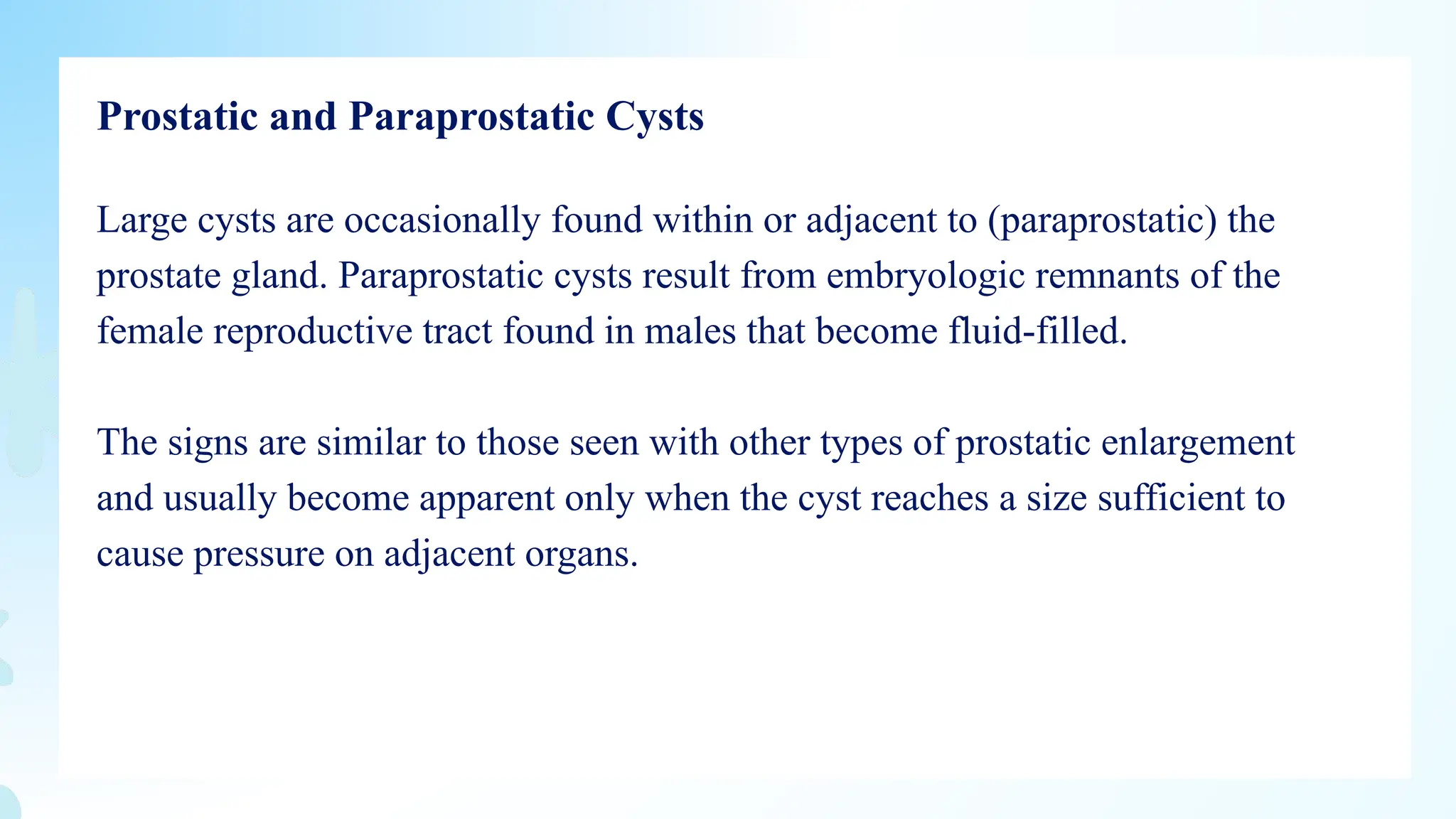 Prostate Gland in Animals: A Comprehensive Overview | PPTX