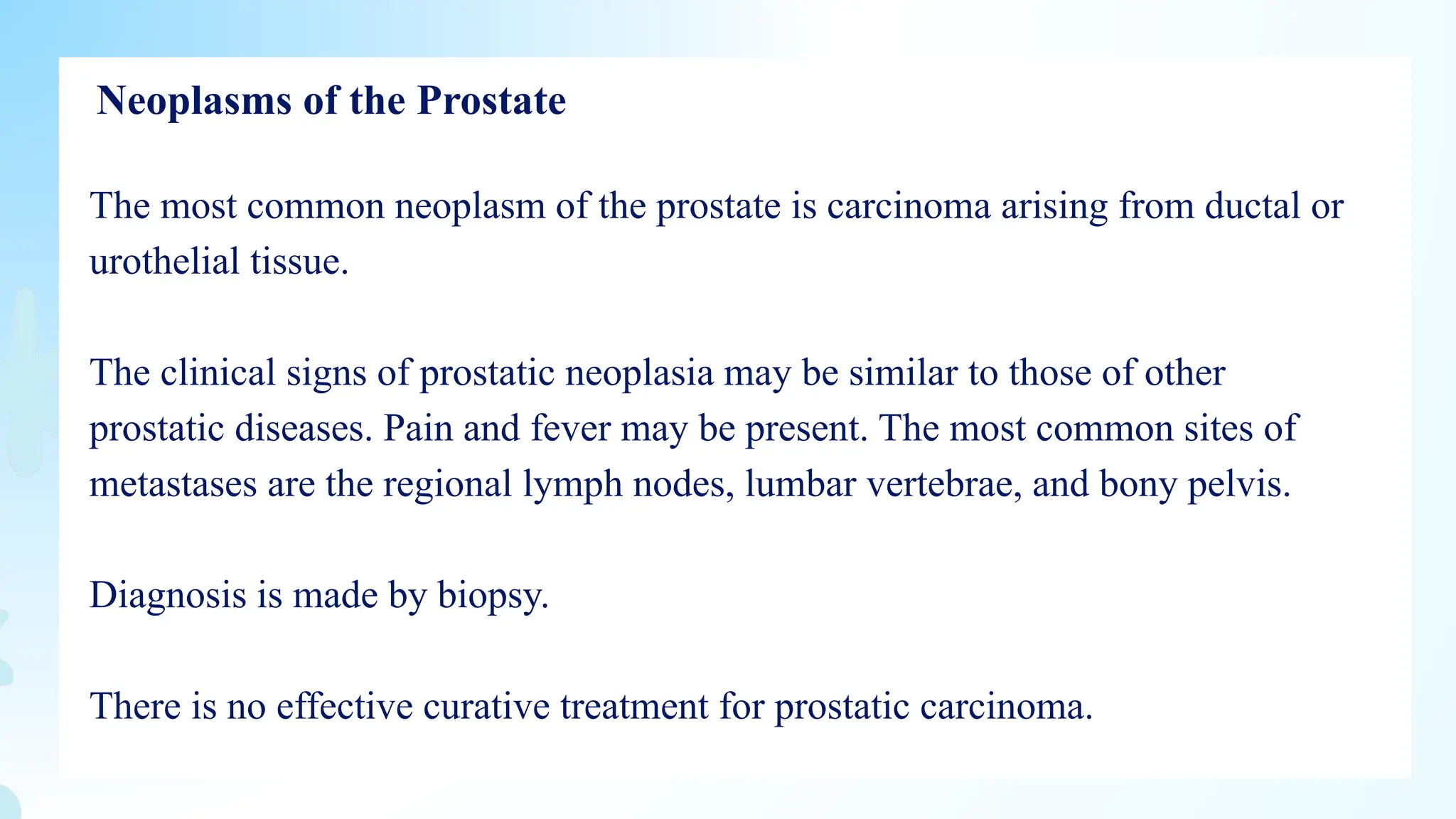 Prostate Gland in Animals: A Comprehensive Overview | PPTX