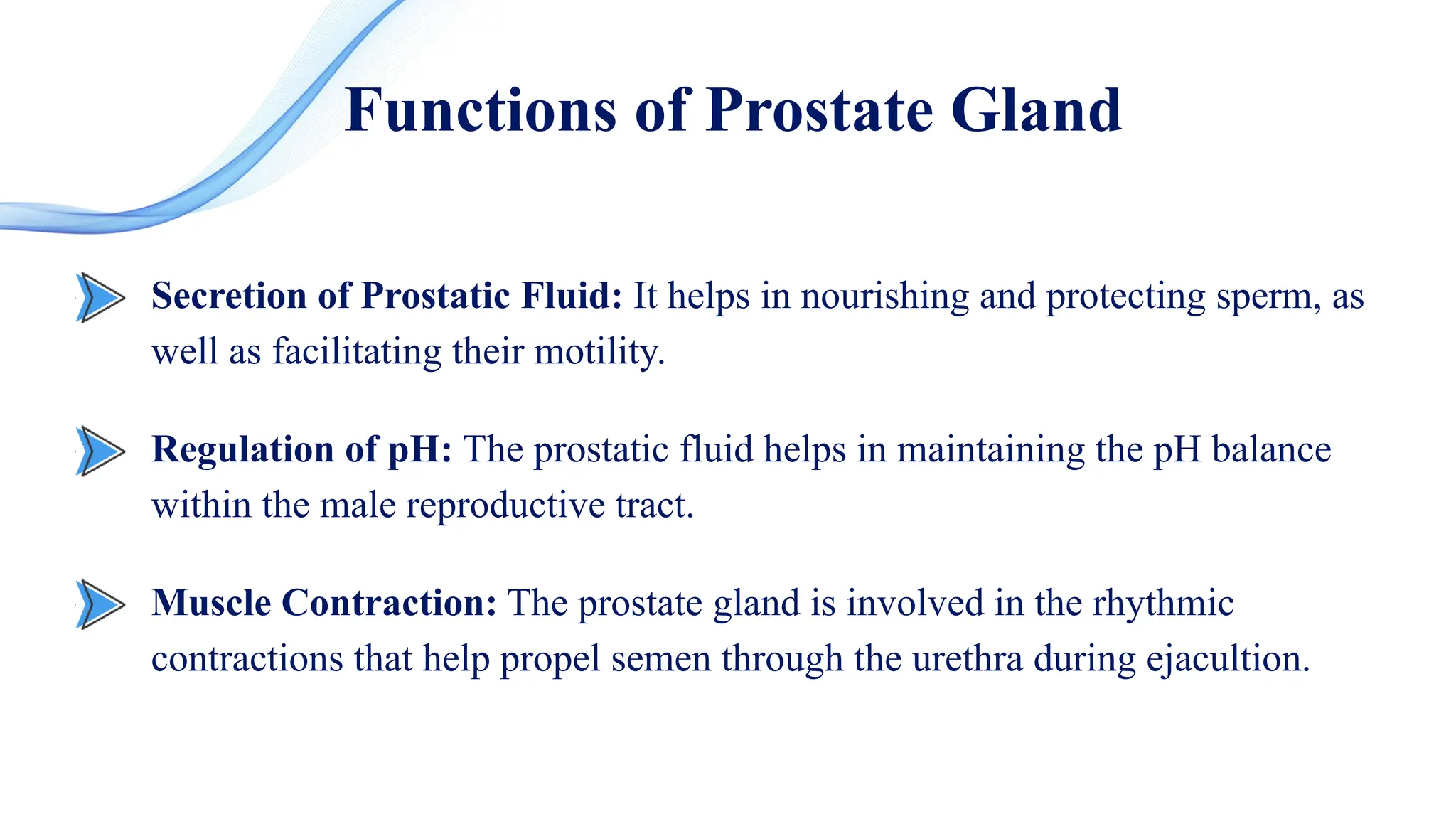 Prostate Gland in Animals: A Comprehensive Overview | PPTX