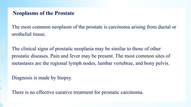 Prostate Gland in Animals: A Comprehensive Overview | PPTX | Endocrine ...