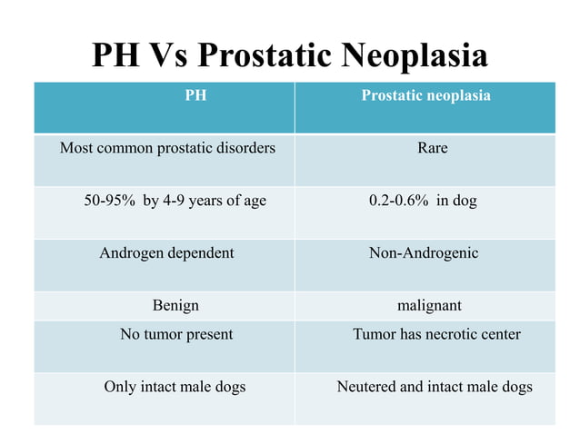 Prostate hyperplasia of Dog | PPTX | Sexual Conditions | Sexual Health