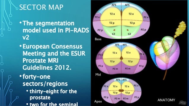 Prostate Imaging - PI-RADS v2.1