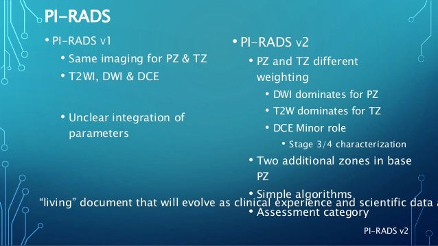 Prostate Imaging - PI-RADS v2.1