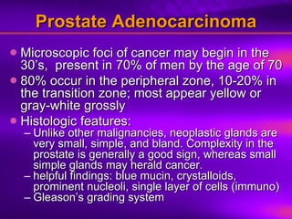 Prostate Pathology | PPT