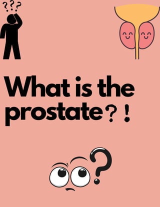 Prostate Problems and your health What you deserve to know (2).pdf