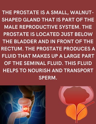 Prostate Problems and your health What you deserve to know (2).pdf