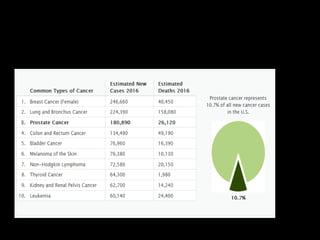 Anatomy, pathology an staging work up of prostate cancer | ODP