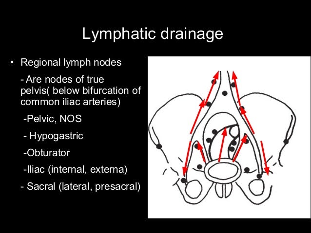 Anatomy, pathology an staging work up of prostate cancer