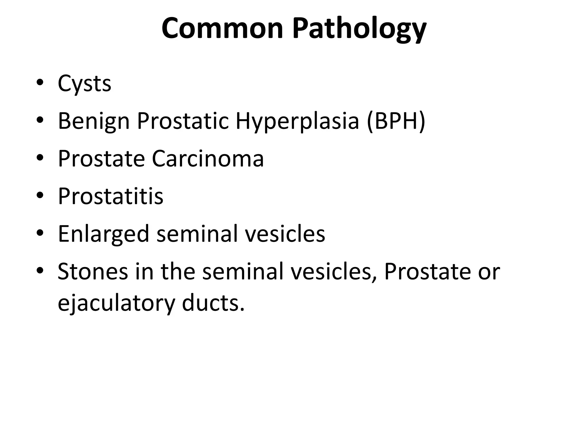 Prostate ultrasound (basic) | PPTX