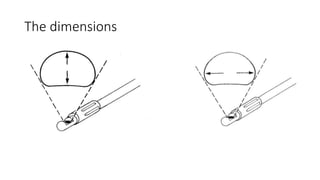 Prostate volume.pptx