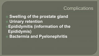 Prostatitis | PPTX