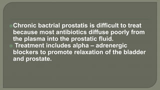Prostatitis | PPTX