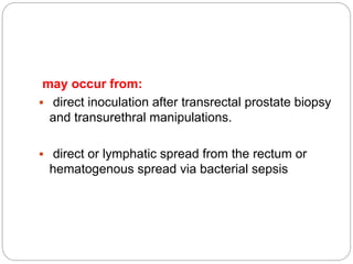 Prostatitis | PPTX