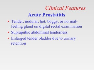 Prostatitis.pptx | Sexual Conditions | Sexual Health