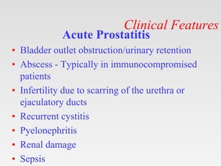 Prostatitis.pptx | Sexual Conditions | Sexual Health