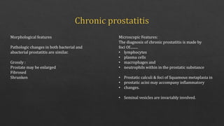 prostatitis.pptx