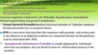 Disorder of the Male Reproductive organ Prostatitis.pptx