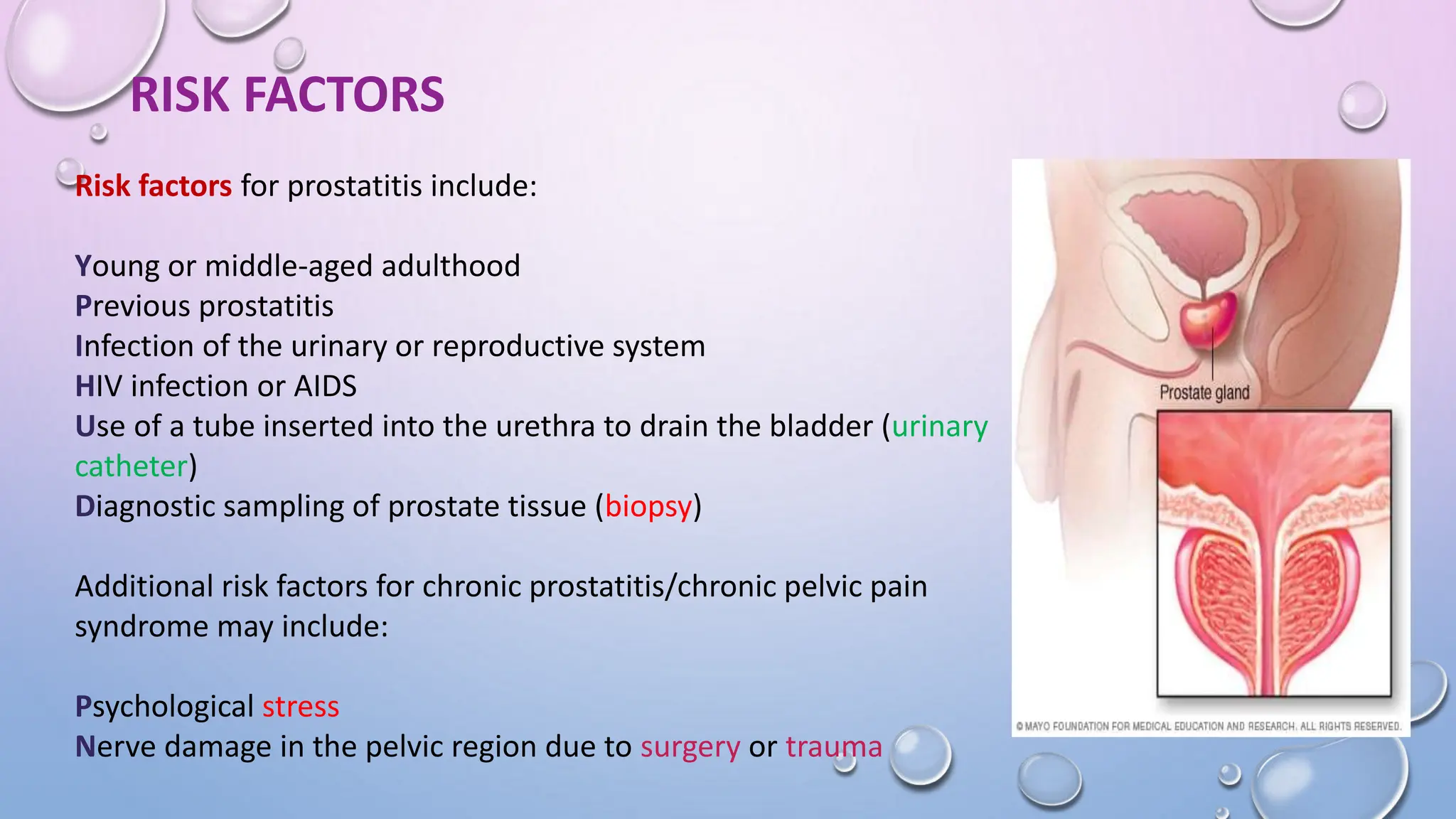 Prostatitis Ppt 1 Pptx
