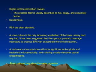 Urology 5th year, 3rd lecture (Dr. Sarwar) | PPT