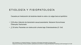 Prostatitis y Orquiepididimitis.pptx