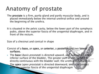 Prostatomegaly | PPTX