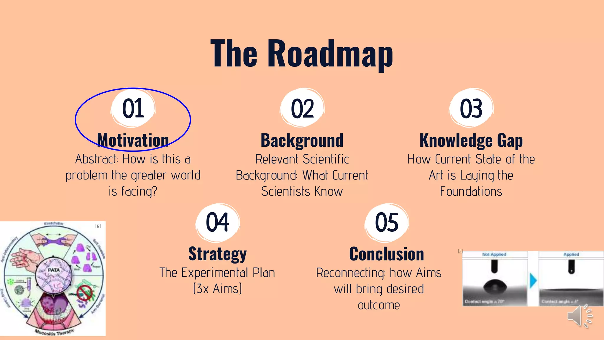 Tibial Prosthesis Biomaterials: Co-Polymers & Optimizing Properties | PPT
