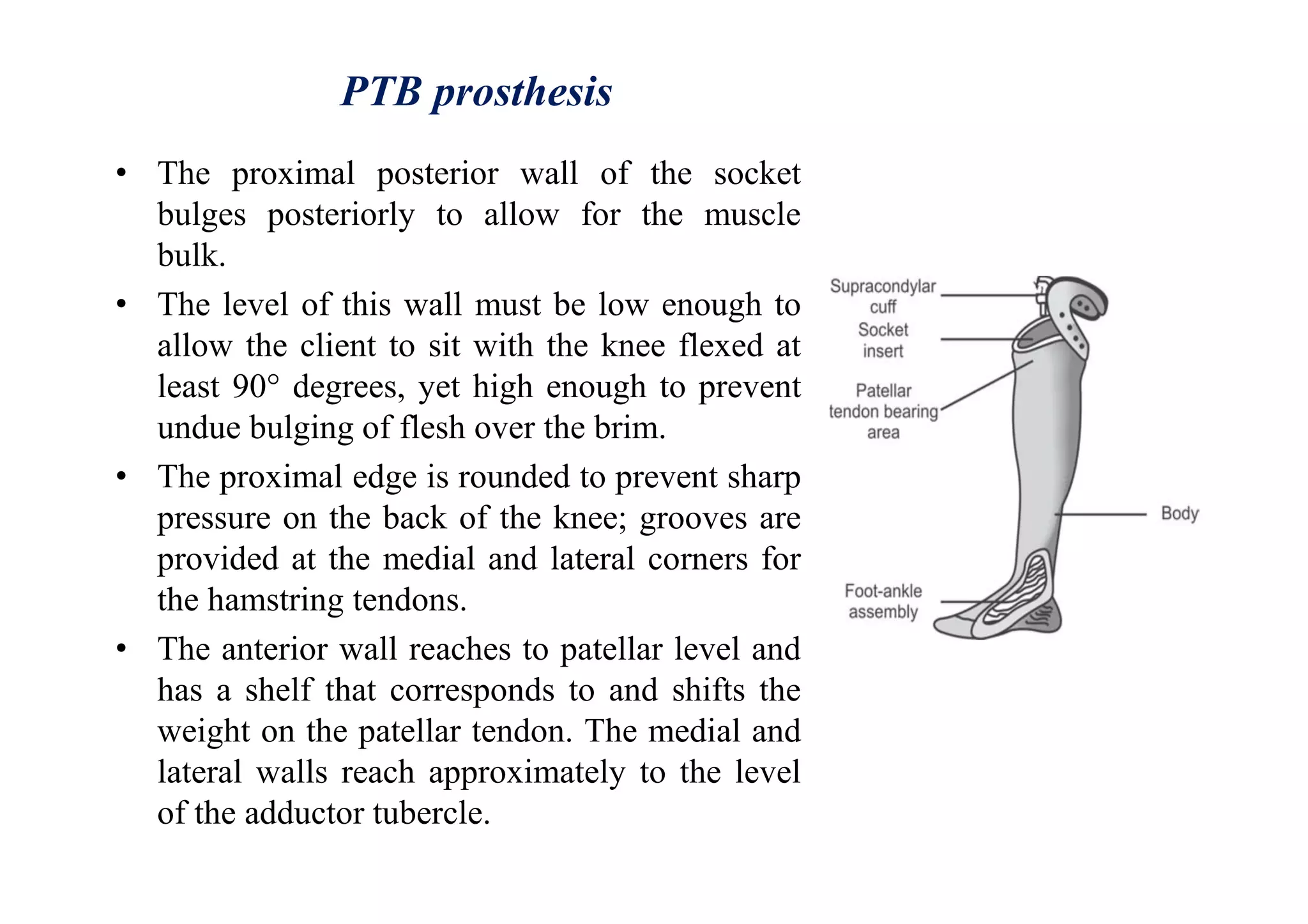 Prosthesis | PDF