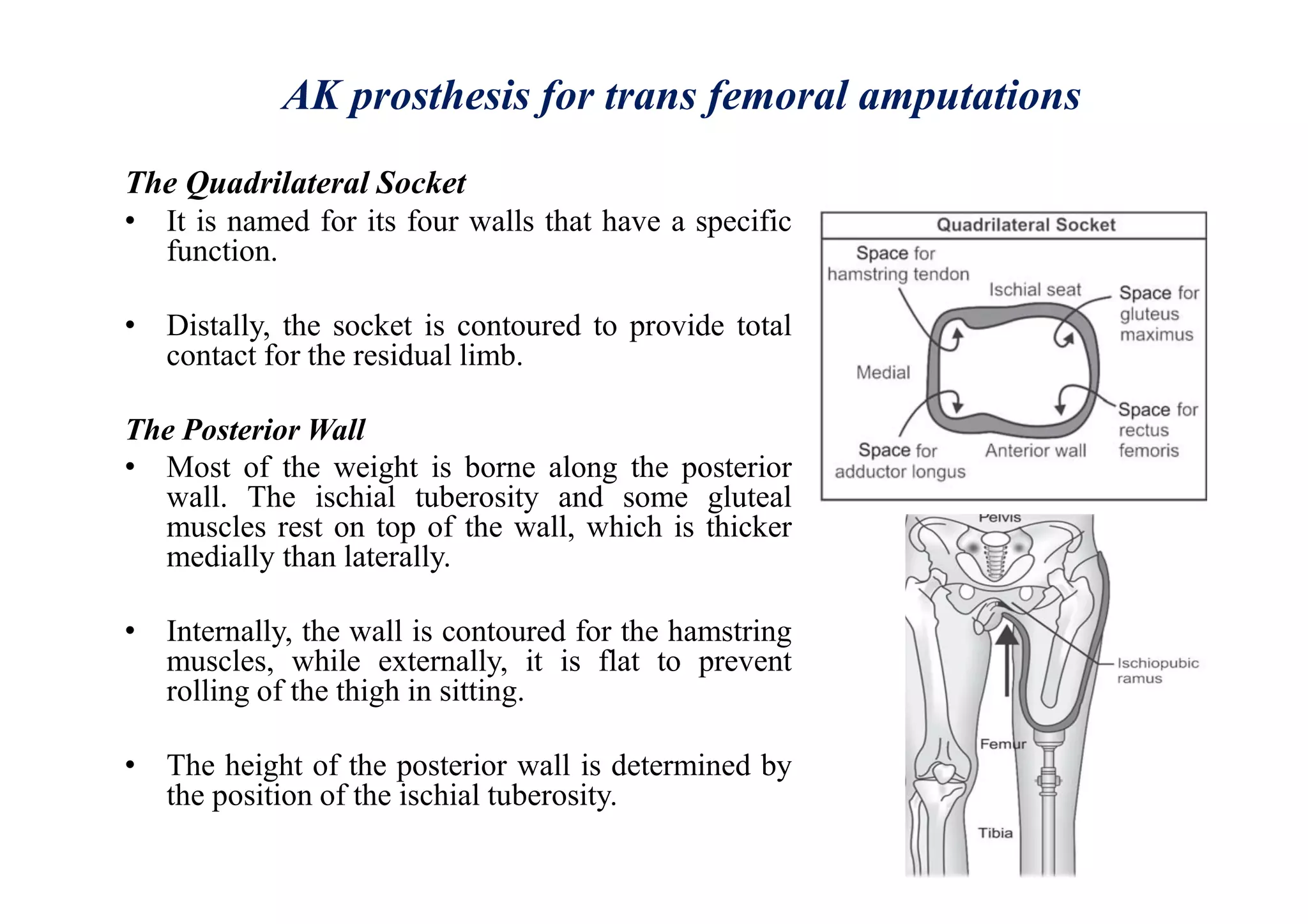 Prosthesis | PDF