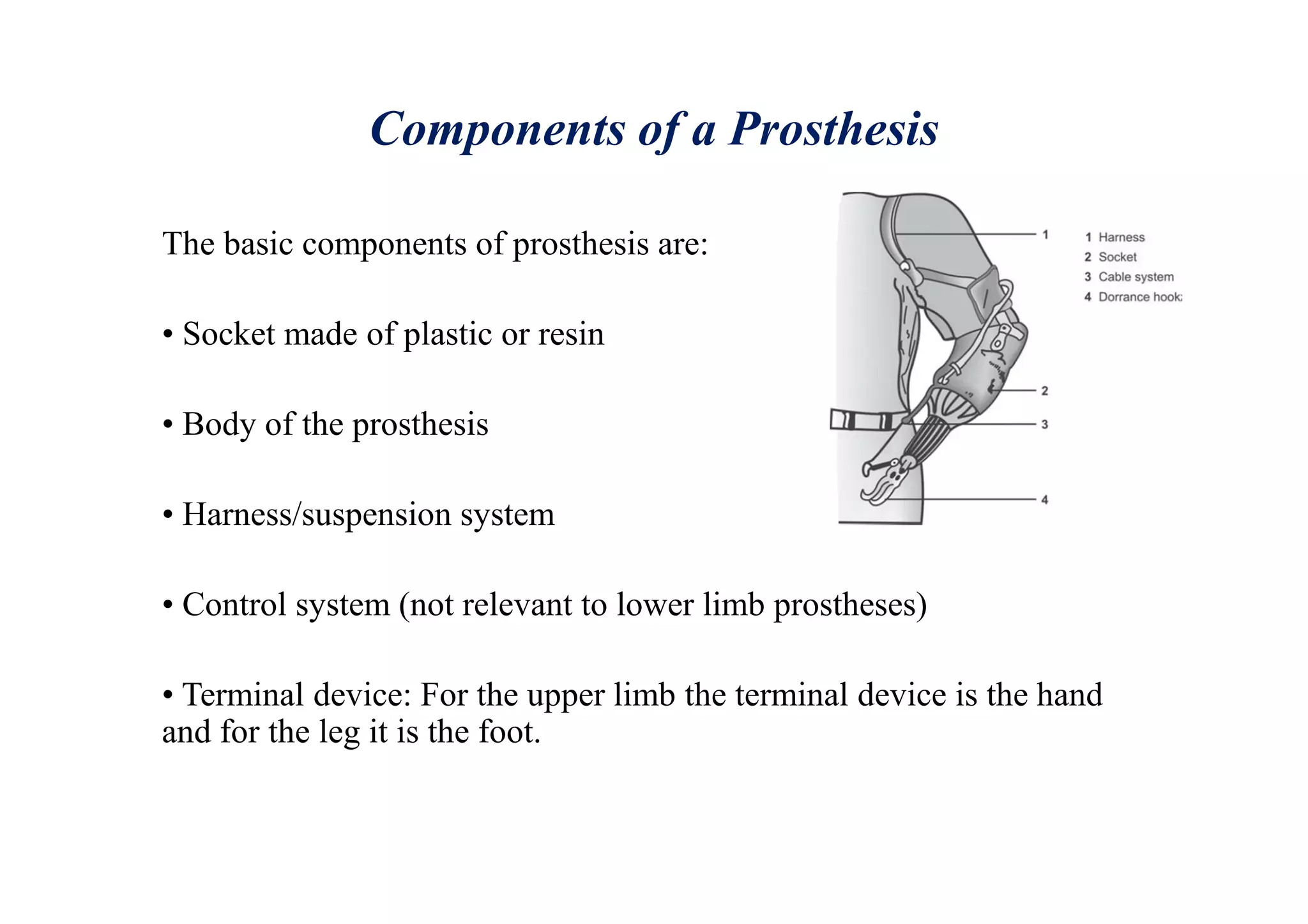 Prosthesis | PDF