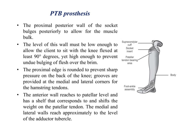 Prosthesis | PDF