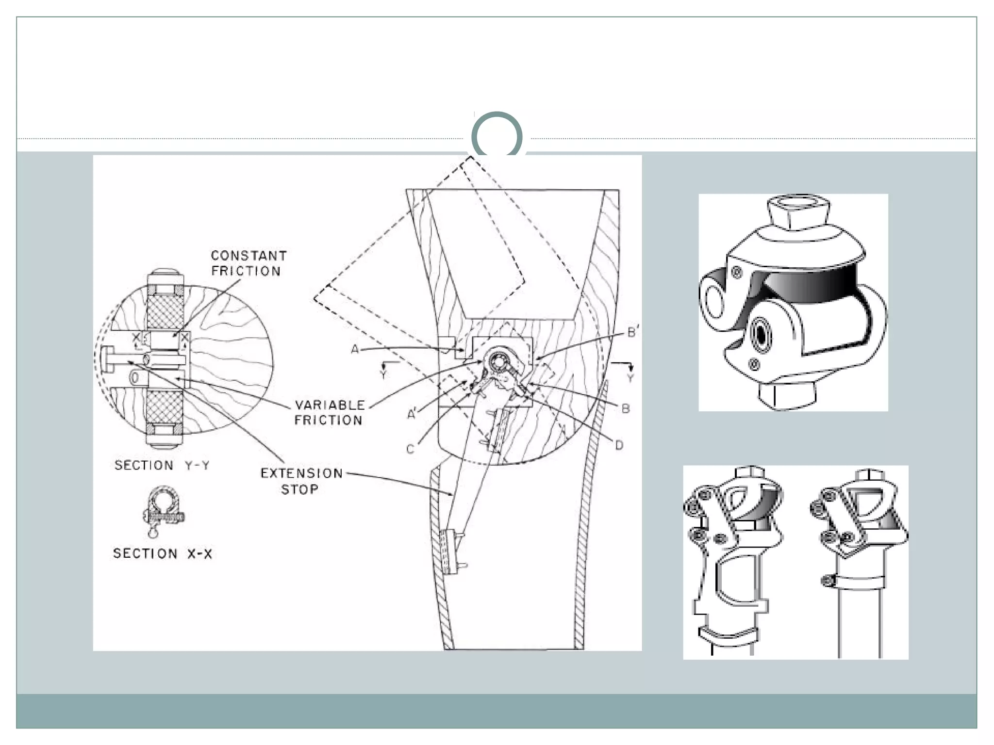 Prosthesis and orthotics | PPT