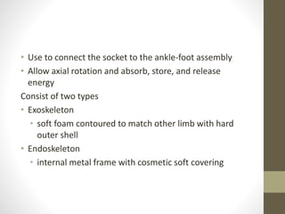 Lower Limbs Prosthesis | PPTX
