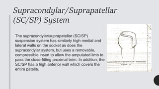Below knee prosthetic components.pptx
